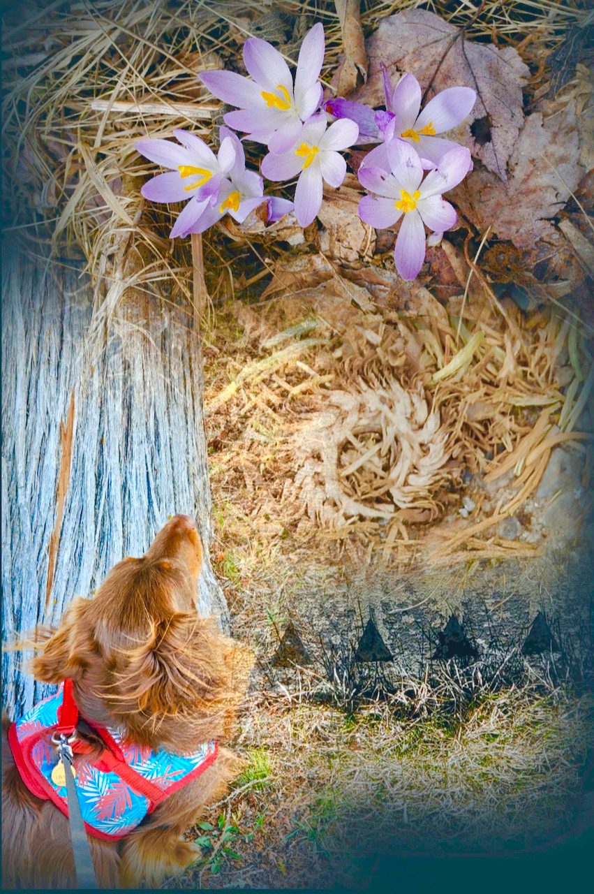 Monk in the World Guest Post: Jan Spragge | Abbey of the Arts