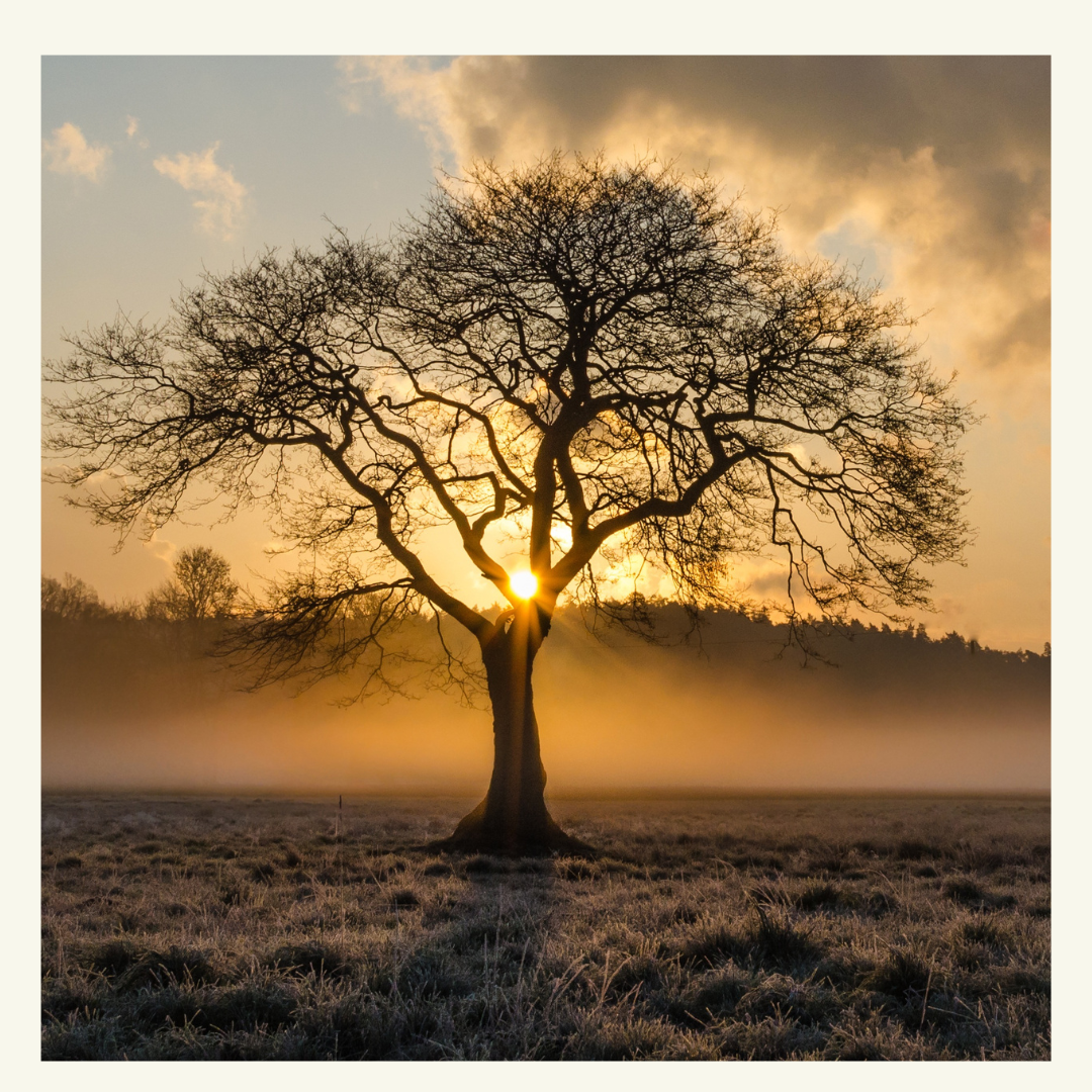 Visionary, Warrior, Healer, Sage: Archetypes to Navigate an Unravelling ...